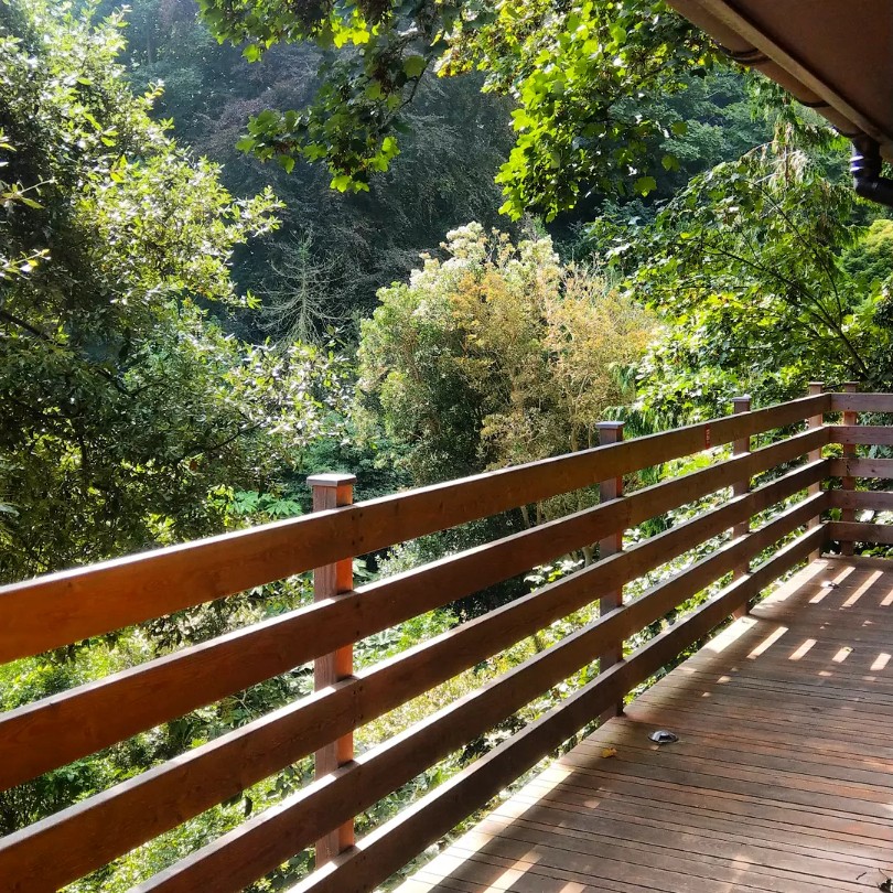 Tree House at Fermain Valley | Visit Guernsey