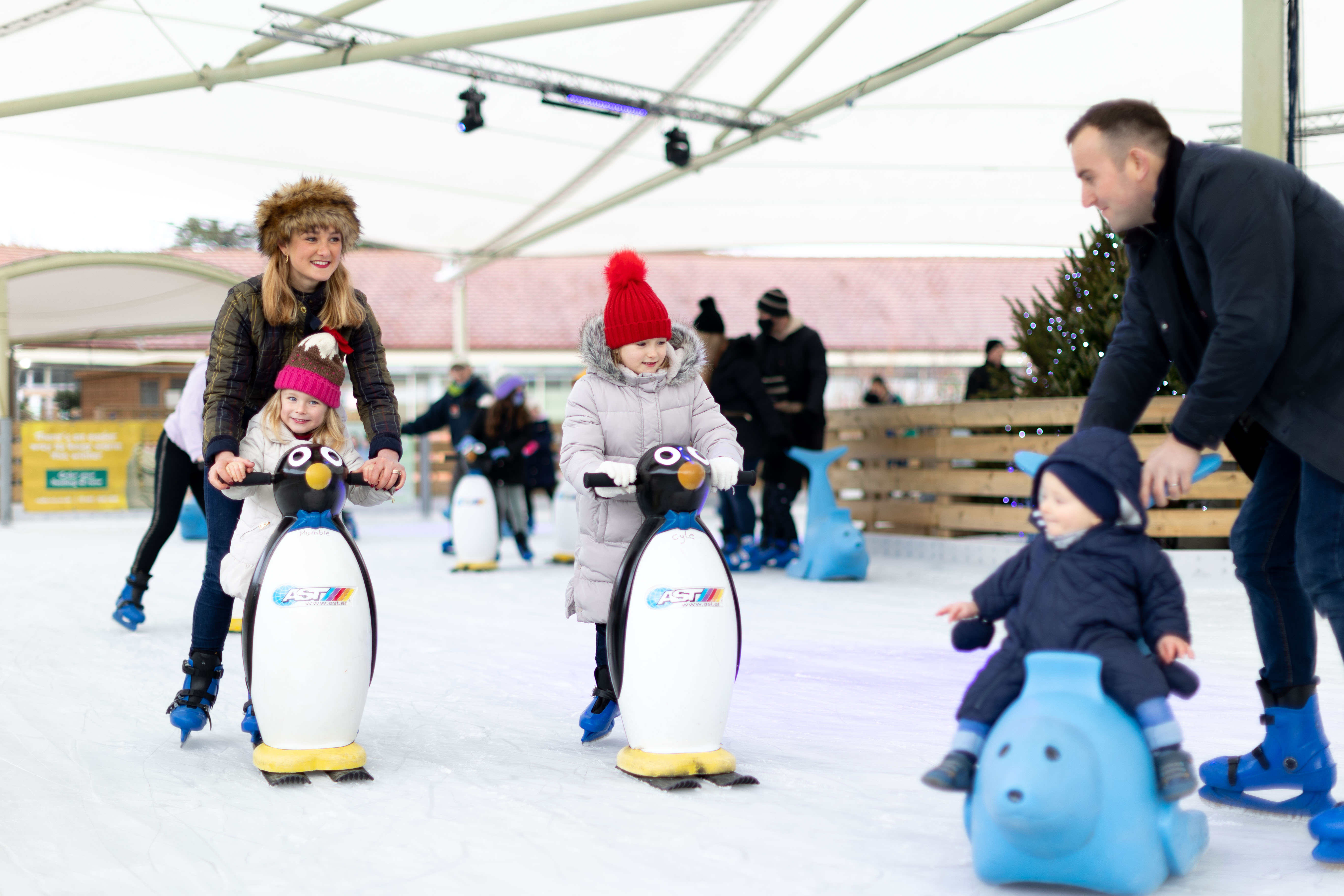 Things to do this Festive Season on The Islands of Guernsey | Visit ...