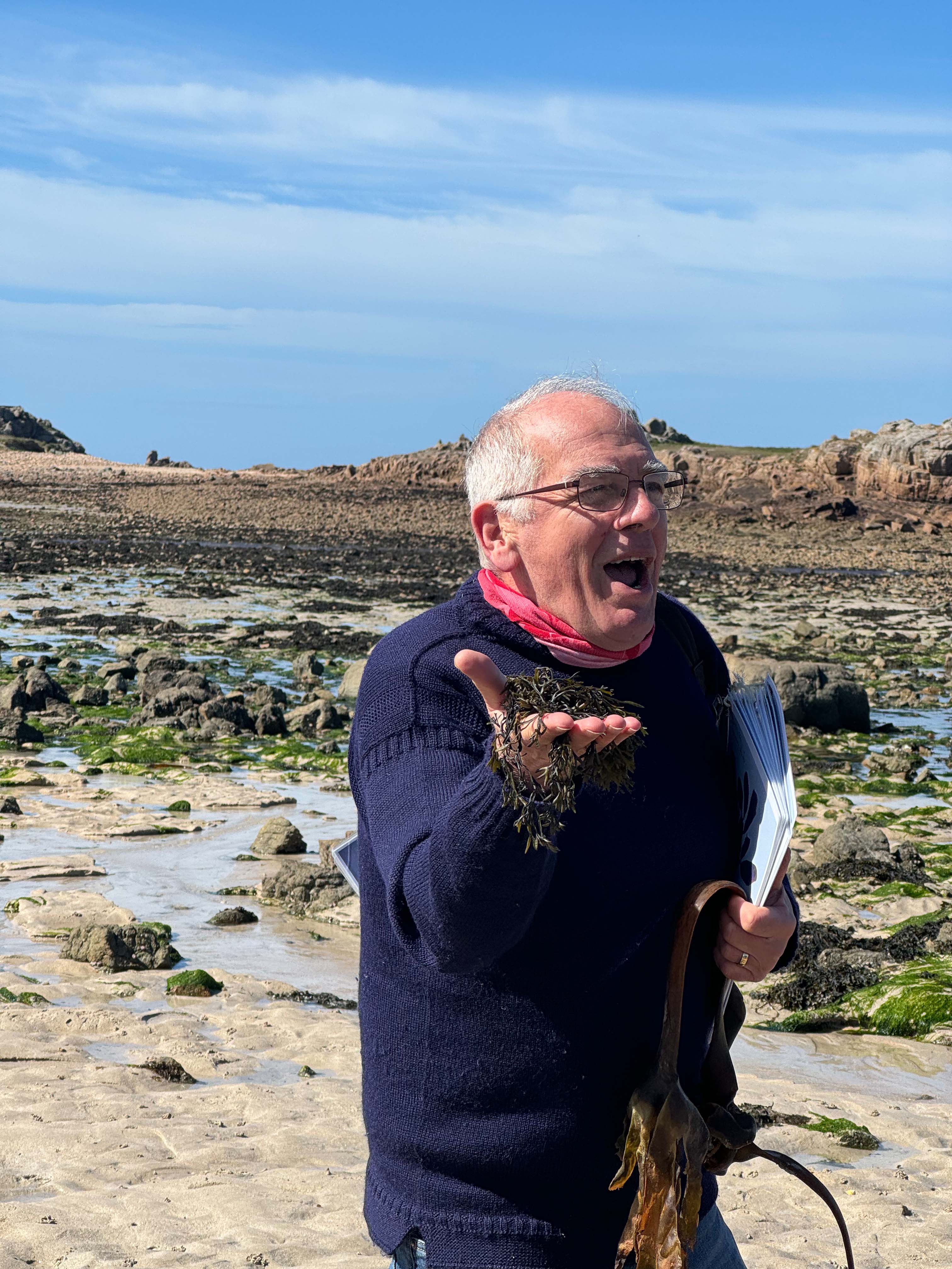 Exploring the World of Seaweed Foraging in Guernsey | Visit Guernsey