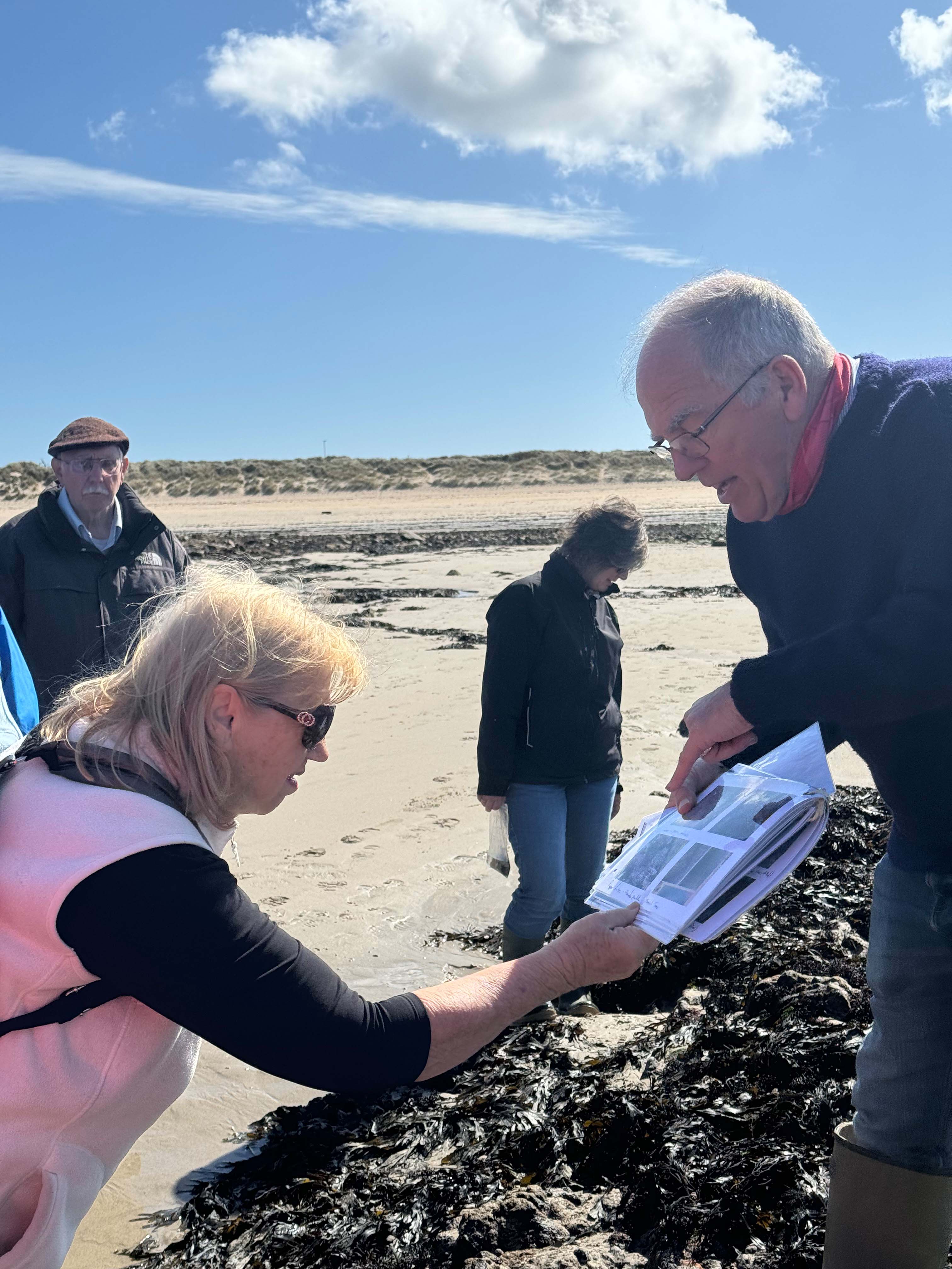 Exploring the World of Seaweed Foraging in Guernsey | Visit Guernsey