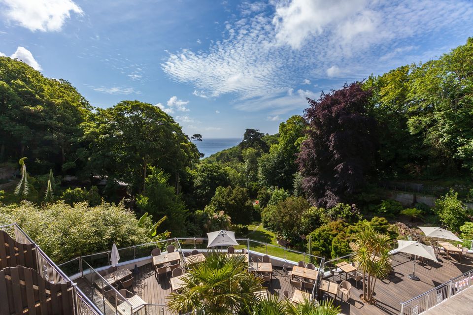 The Deerhound | Visit Guernsey