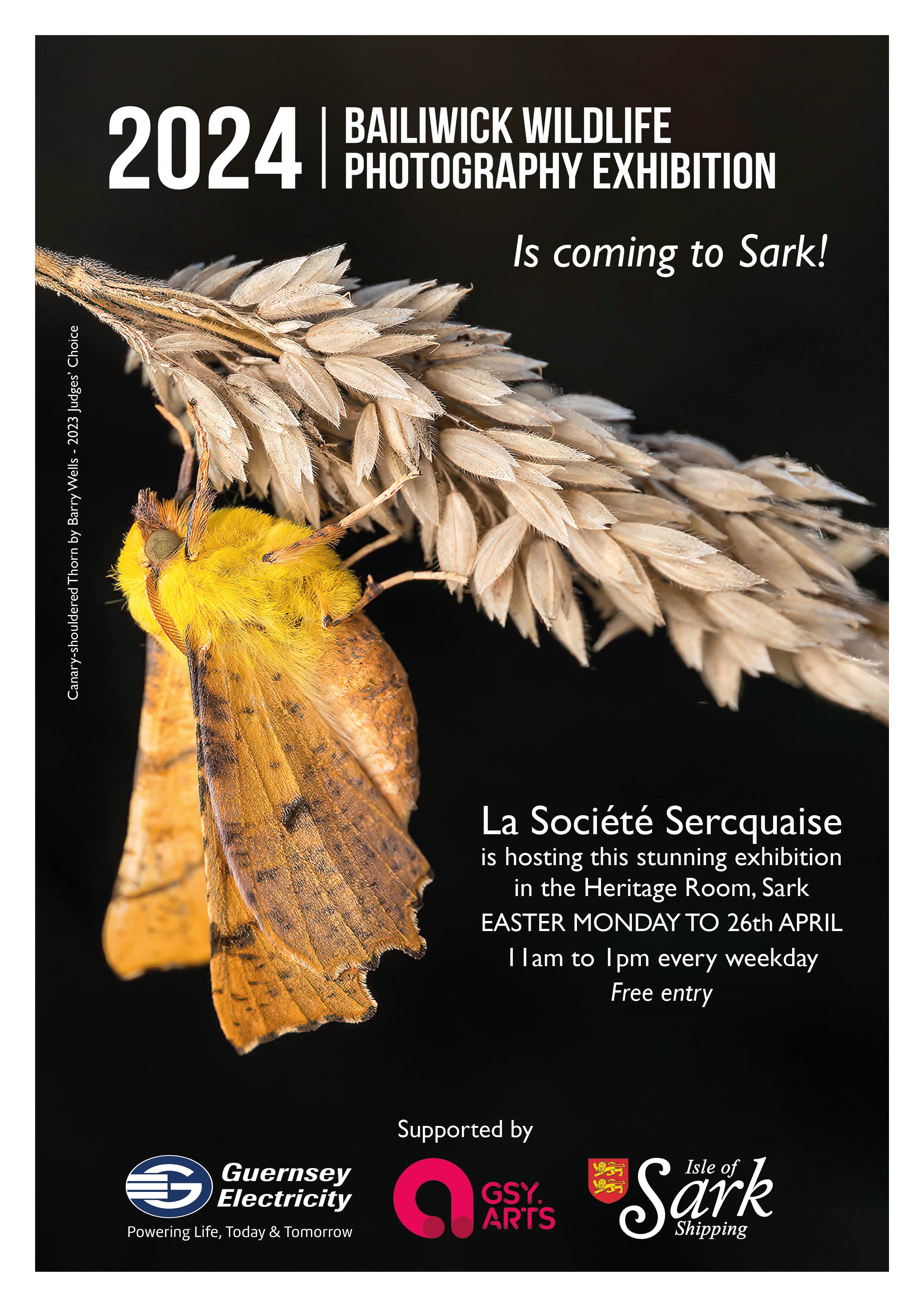 Sark | 2024 Bailiwick Wildlife Photography Exhibition | Visit Guernsey