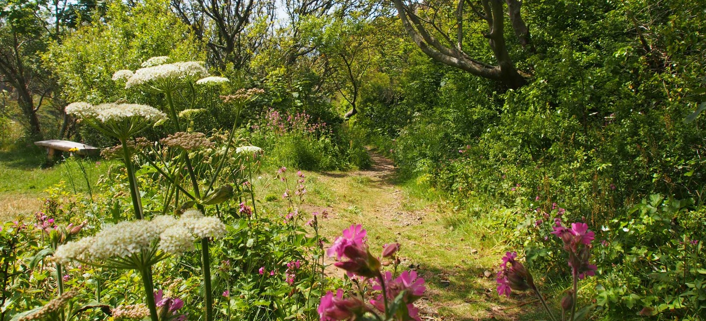 La Marguerite Guest House - Sark | Visit Guernsey